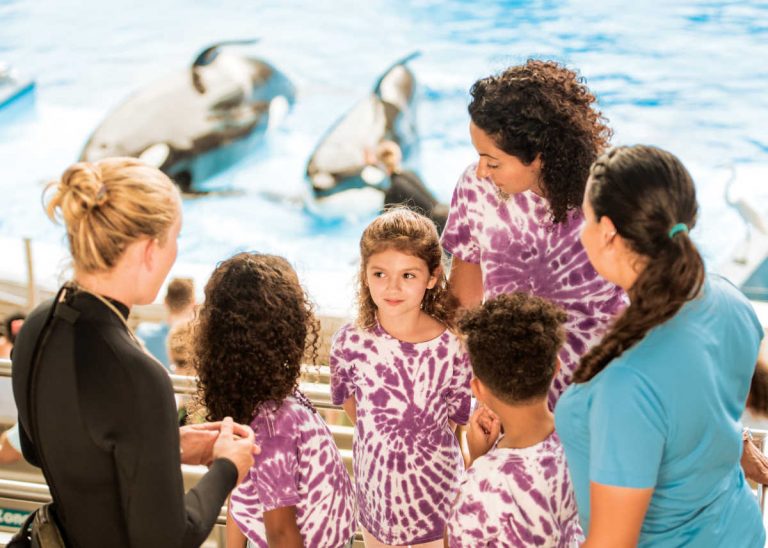 SeaWorld Orlando • Flamingo Educational Tours